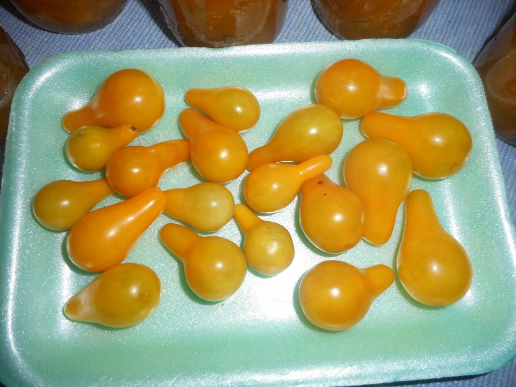 Yellow Pear Tomato Jam…Yeap That’s A Real Jam – My World Without Wheat