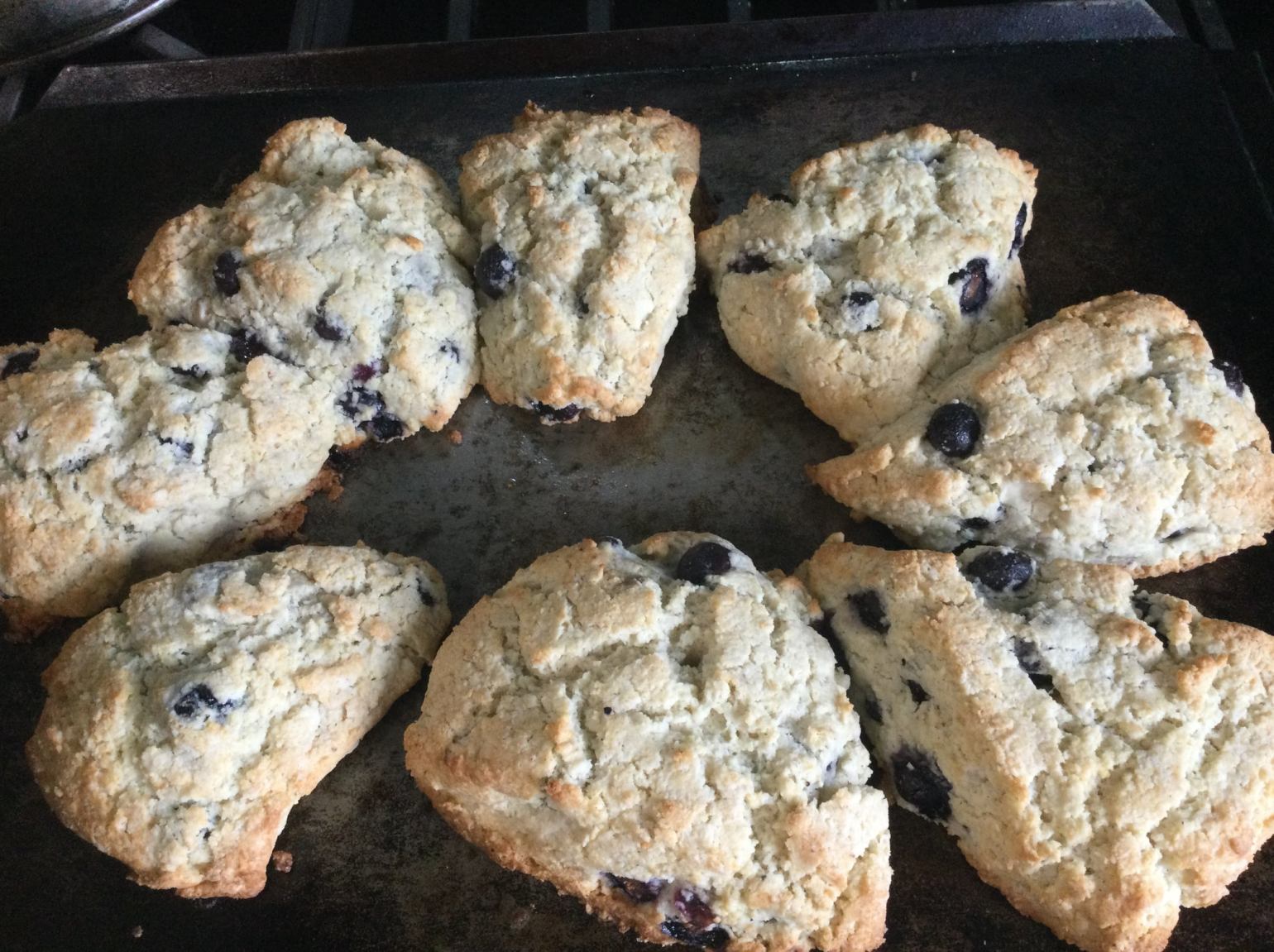 scones – My World Without Wheat